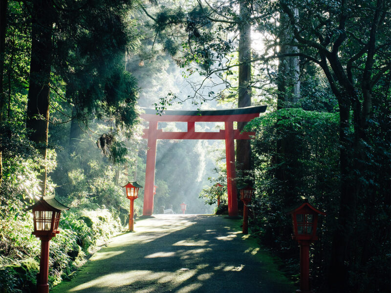 What is an Obeya? - Obeya Association