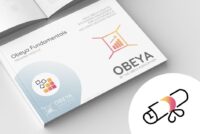 Obeya Association - a Home for Obeya Practitioners Worldwide
